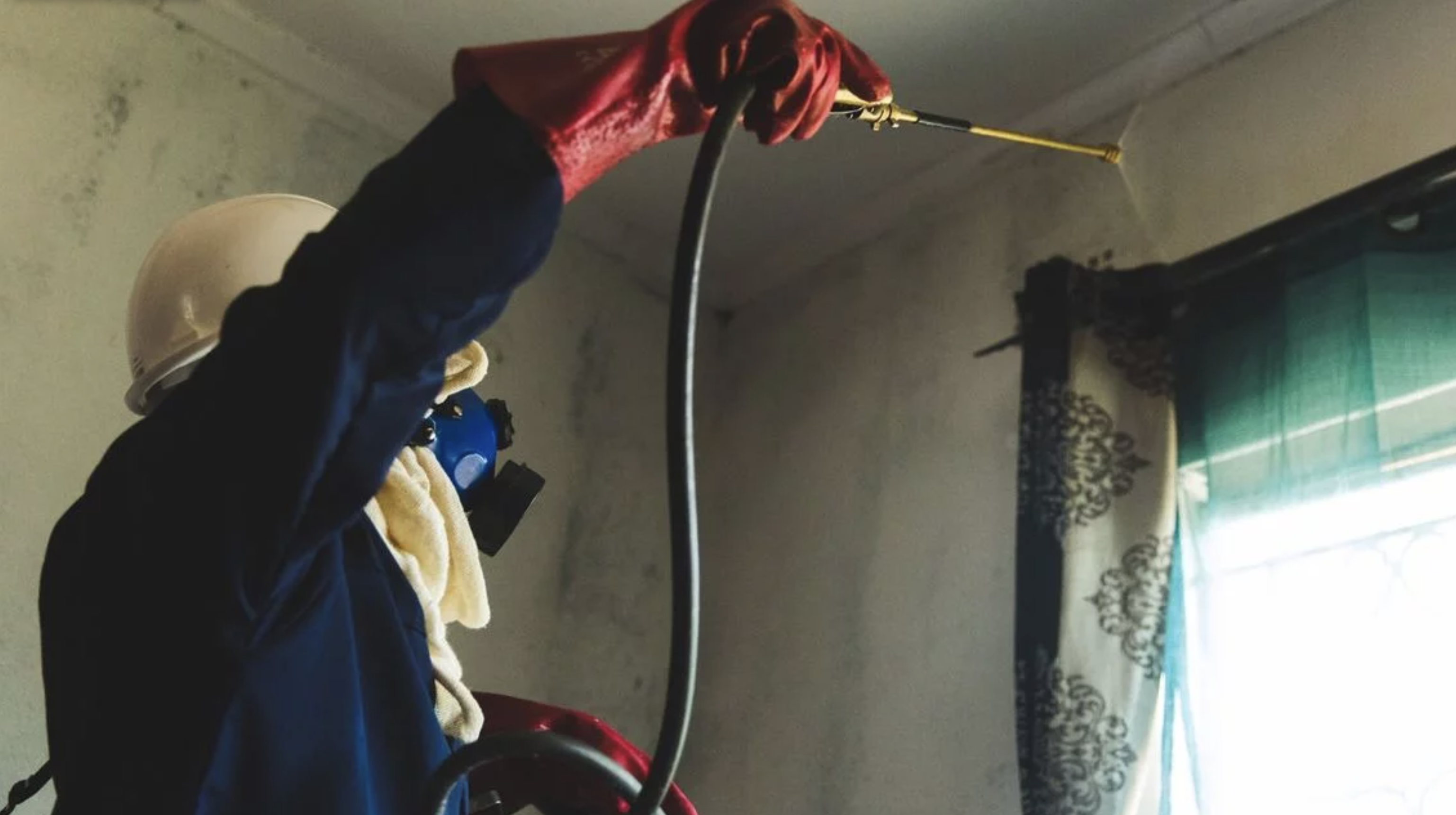 Partially-sprayed houses show promising results in IRS efficacy ...
